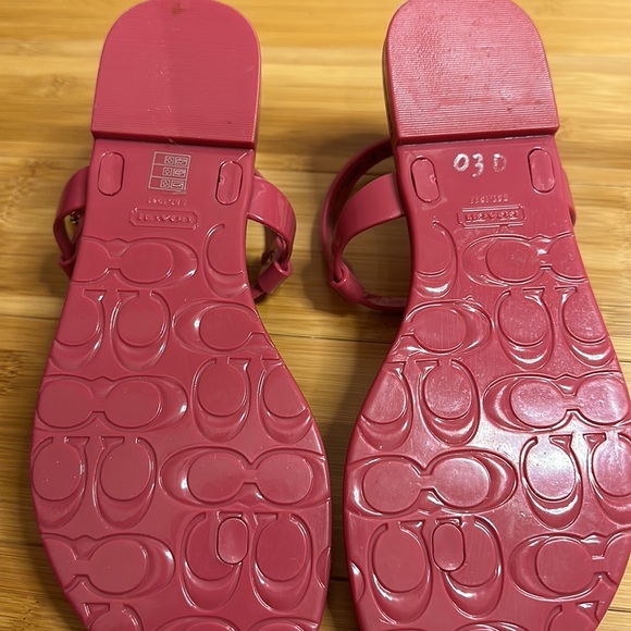 Coach | Shoes | Coach Fuchsia Thong Sandals | Poshmark